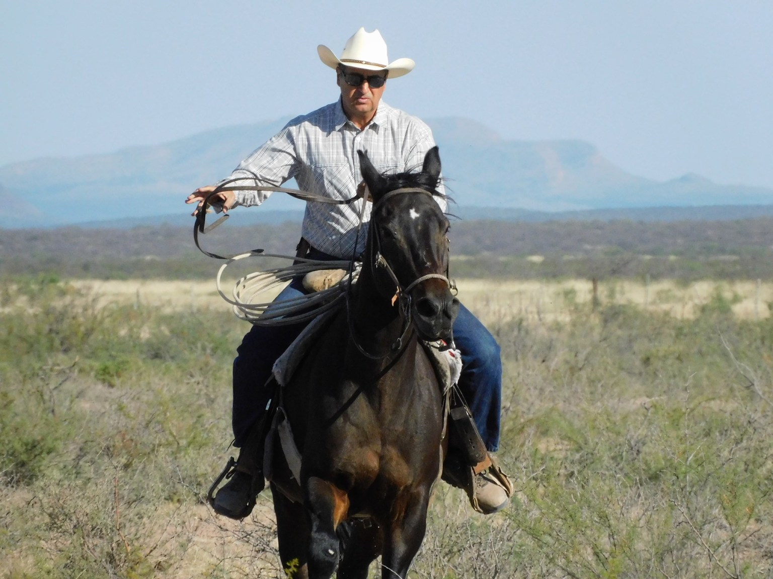 Mexico’s Regenerative Ranching Wisdom Comes to Santa Barbara - The Santa Barbara Independent