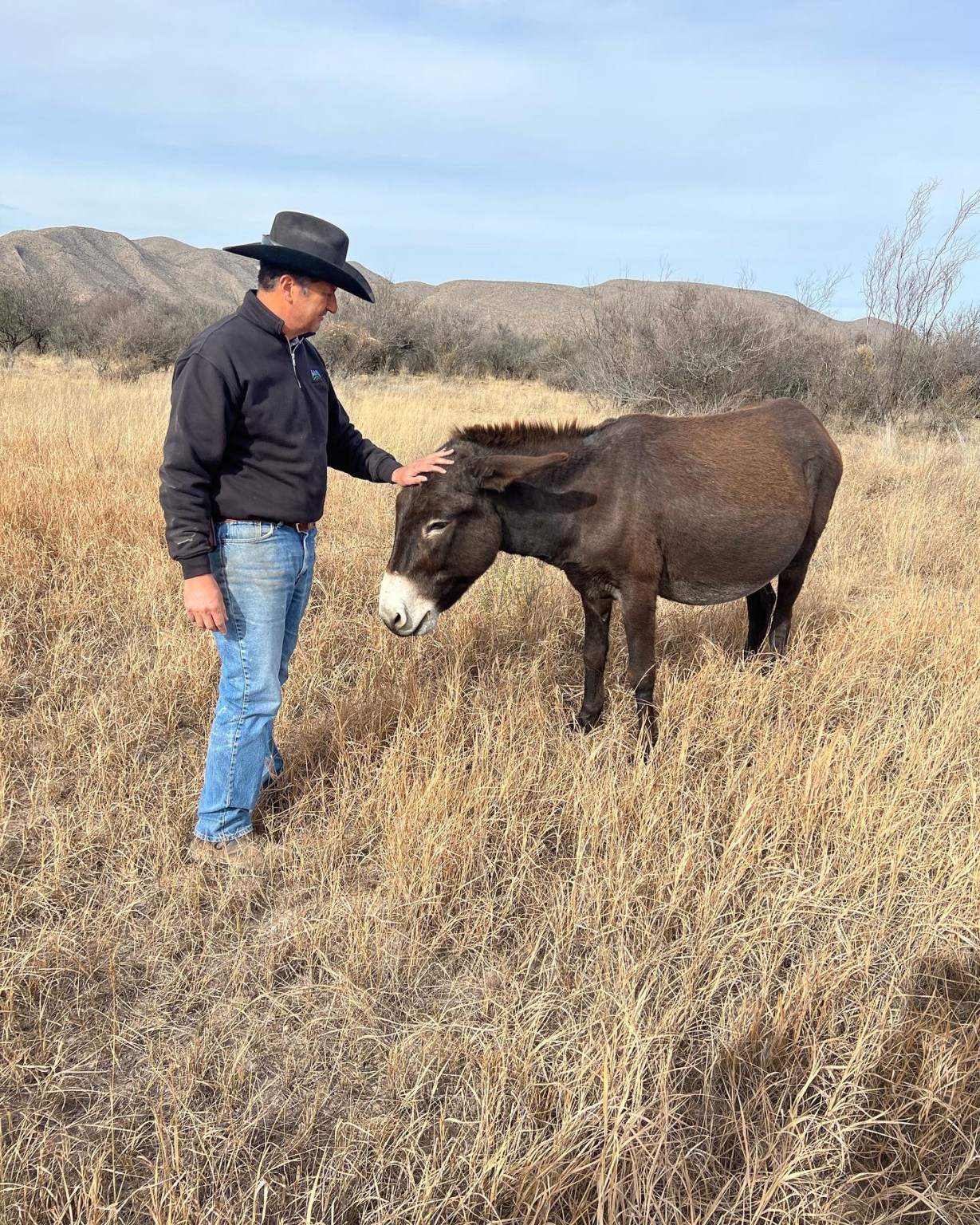 Mexico’s Regenerative Ranching Wisdom Comes to Santa Barbara - The Santa Barbara Independent