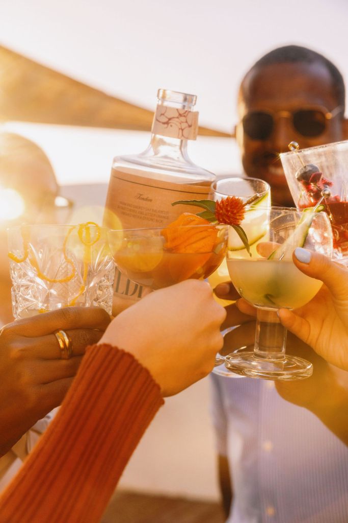 Tilden Nonalcoholic Cocktails Bring Complex Tastes to Sober Drinking ...