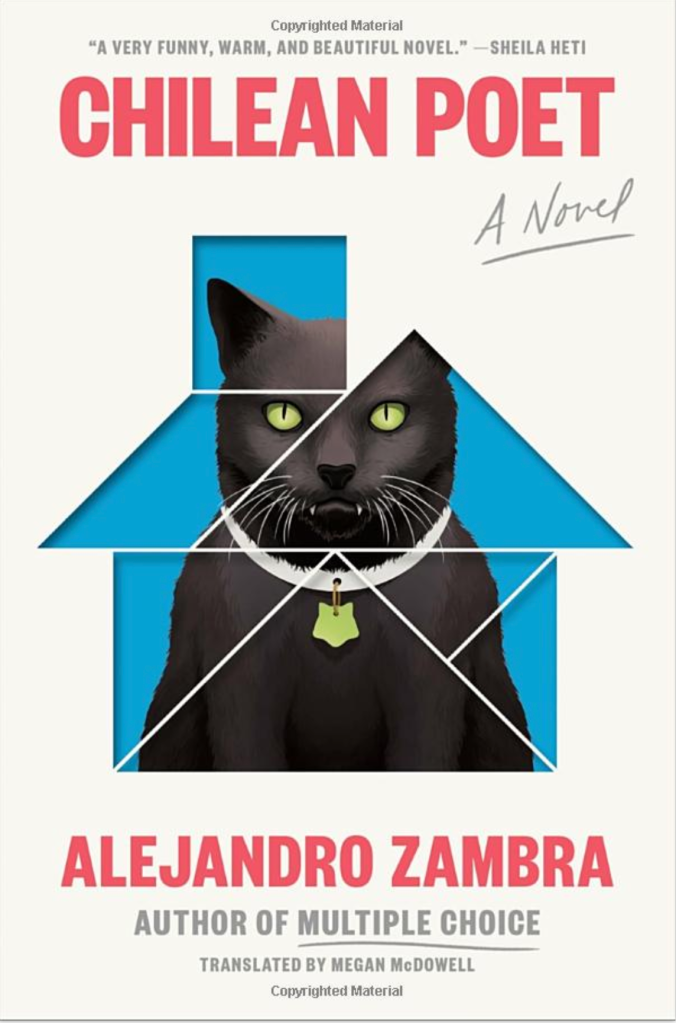 Book Review | ‘Chilean Poet’ by Alejandro Zambra, Translated by Megan ...