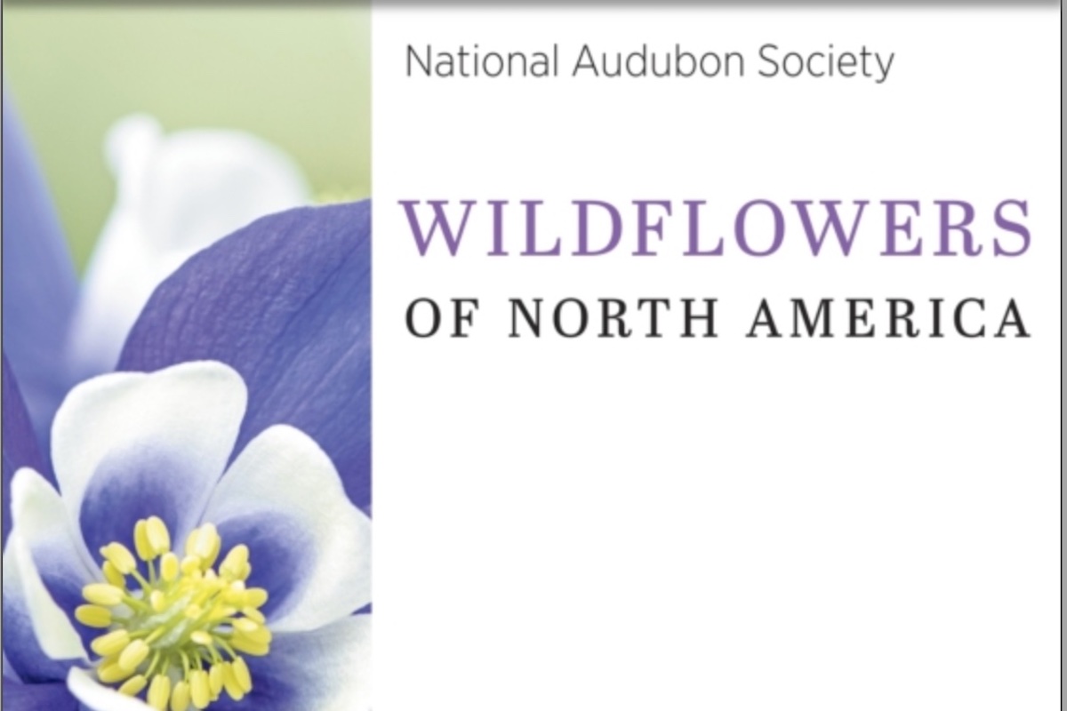 Review | ‘Wildflowers of North America’ by the National Audubon Society ...