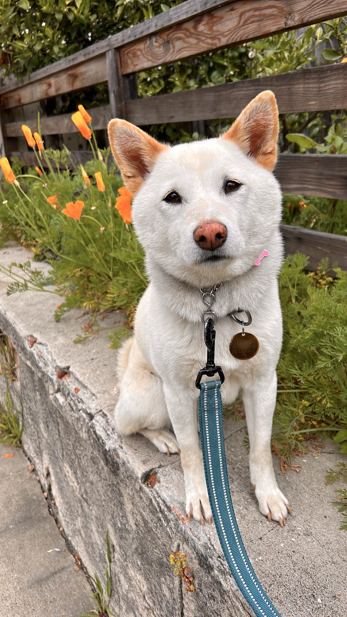 The Home Page | Inside Out for Earth Day - The Santa Barbara Independent