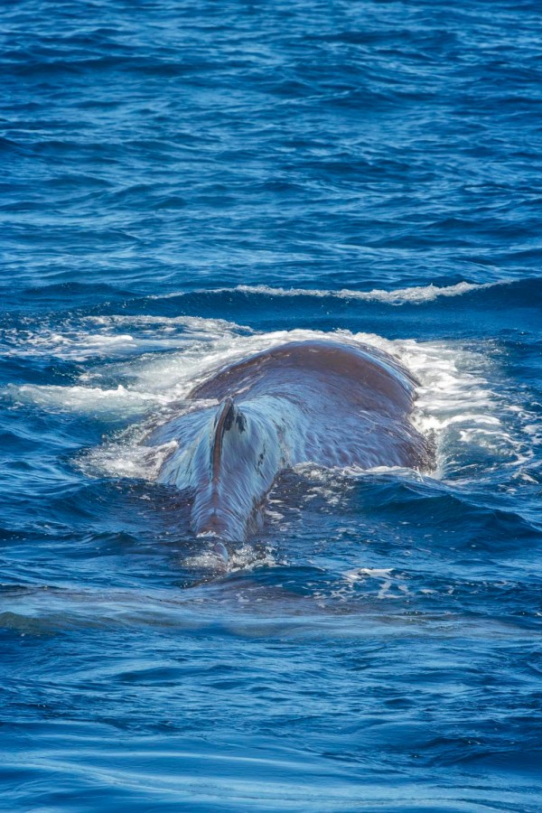 Exploring Aotearoa, Māori for The Land of the Long White Cloud - The ...