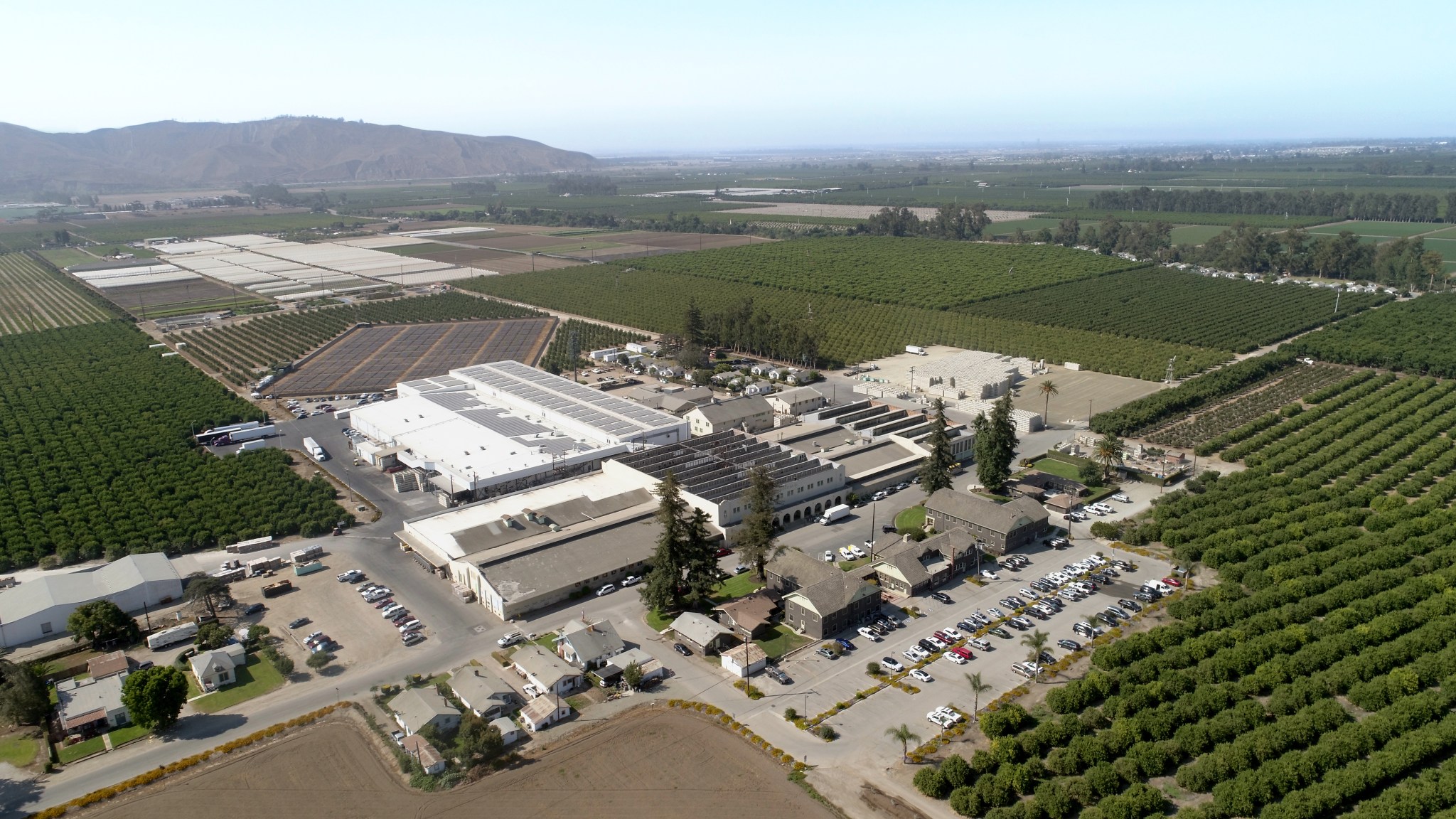 Goleta-Based Apeel and Ventura County’s Limoneira Sign Exclusive Deal ...