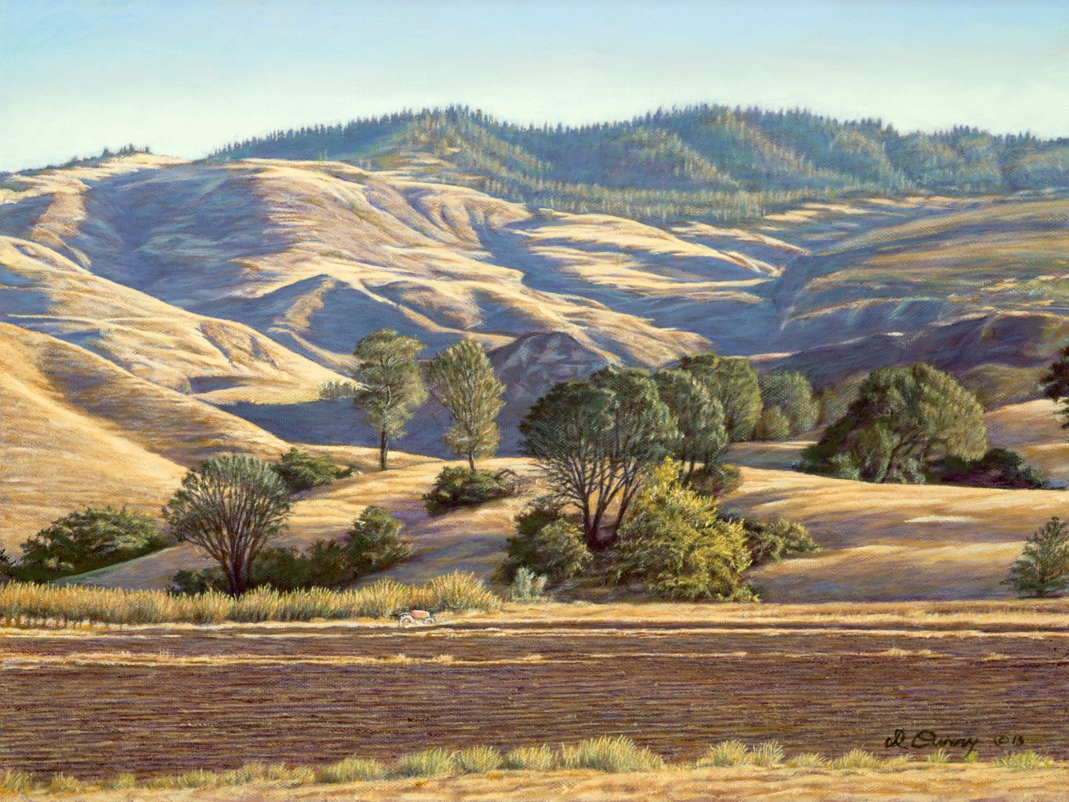 Sedgwick Reserve: A Conservation Story at Wilding Museum - The Santa ...
