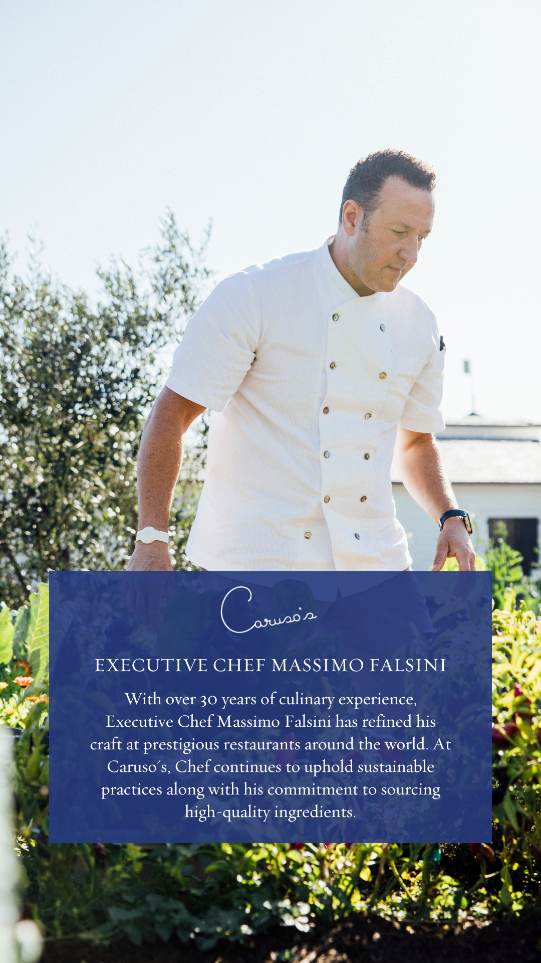 Eleven Madison Park Coming to Caruso’s in Montecito - The Santa Barbara ...