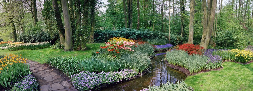 Capturing Amsterdam’s Decisive Moment - The Santa Barbara Independent