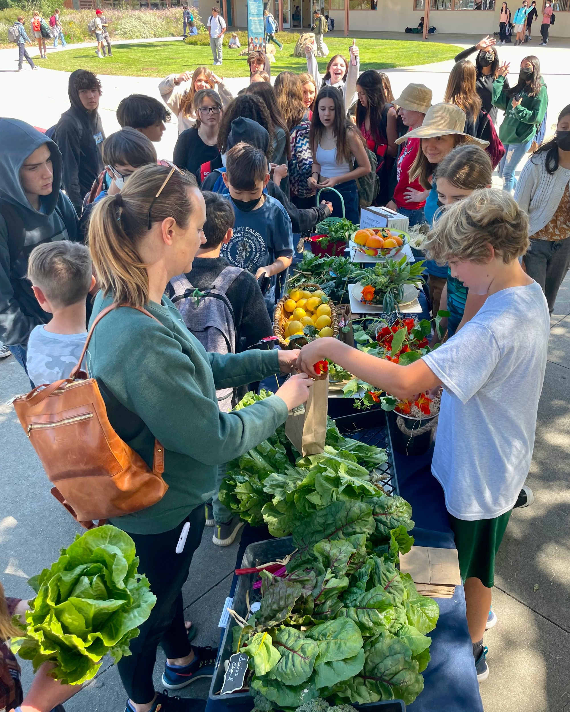 Dirty Hands, Bright Minds at La Colina School Garden - The Santa ...