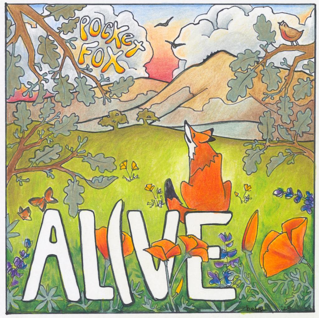 Making Their Way Into the Santa Barbara Music Scene, Pocket Fox and ...