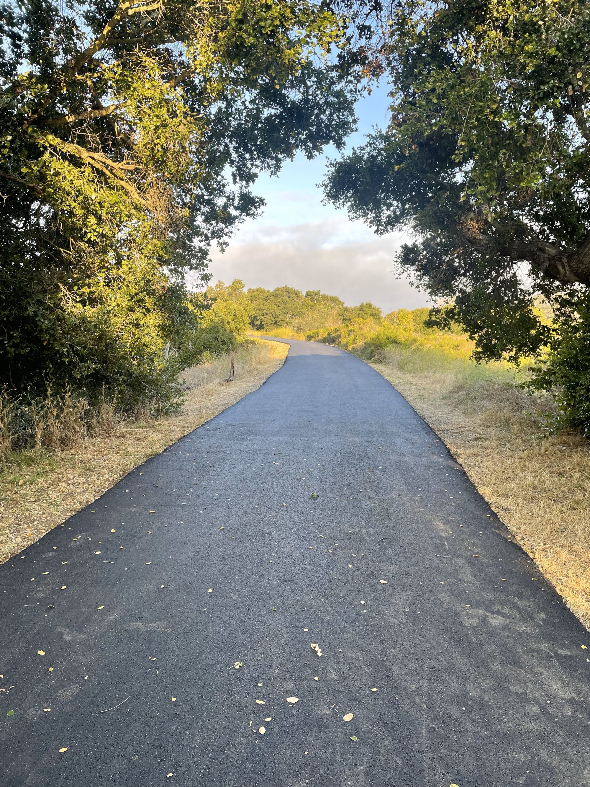 Multi-Purpose Road at Lake Los Carneros and Stow House Repaved - The ...