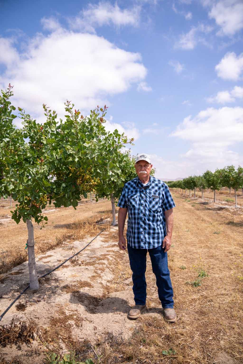 A Water War Is Underway in Santa Barbara County's Carrot Country - The ...