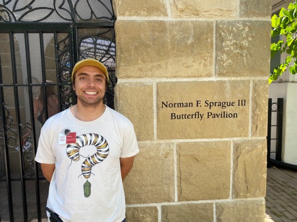 At Santa Barbara Natural History Museum, ‘Butterflies Alive!’ Flutters ...