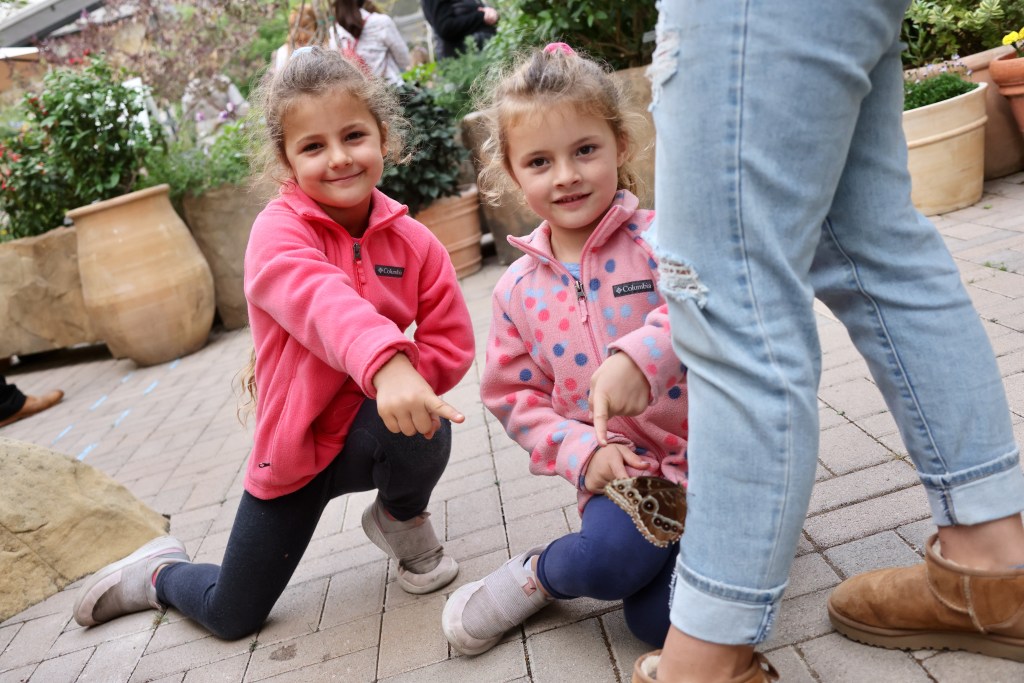 Soar Through Santa Barbara’s 11 Last Days of Summer - The Santa Barbara ...