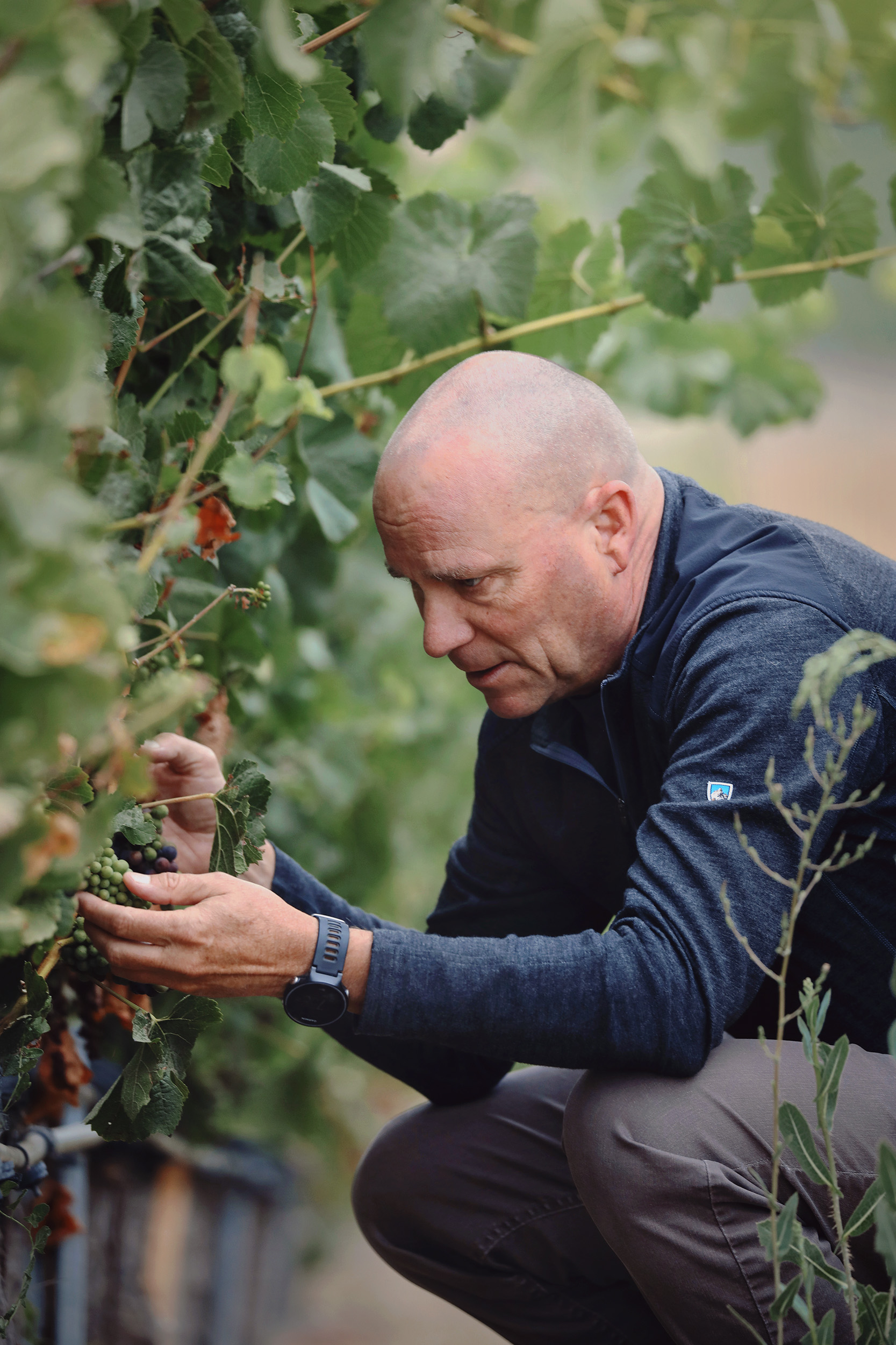 Winemaker Steve Fennell Tries Small and Solo - The Santa Barbara ...