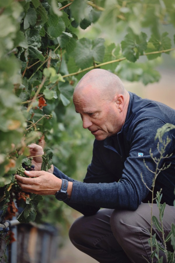 Winemaker Steve Fennell Tries Small and Solo - The Santa Barbara ...