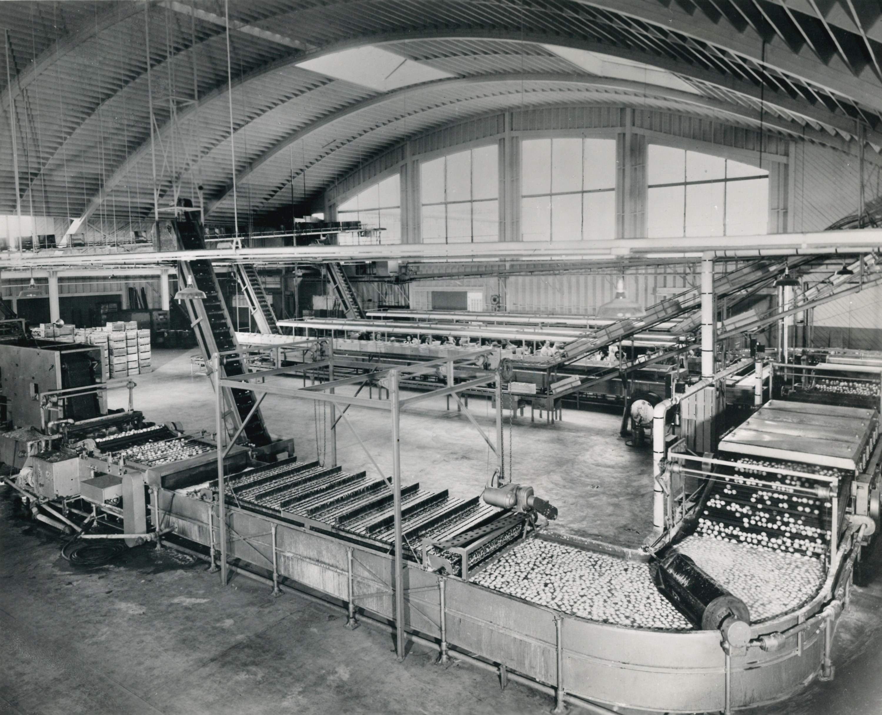 Growing in the Goodland: Goleta’s Zesty History - The Santa Barbara ...