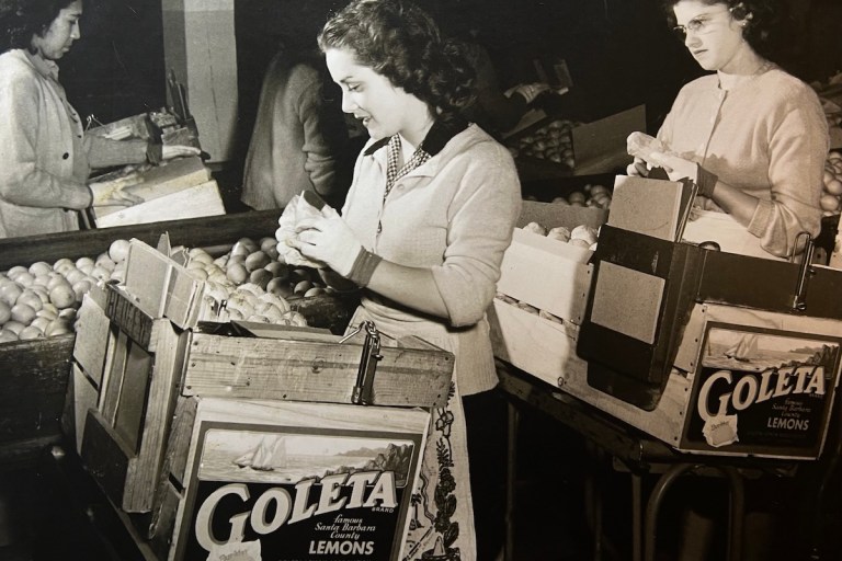 Growing in the Goodland: Goleta’s Zesty History - The Santa Barbara ...