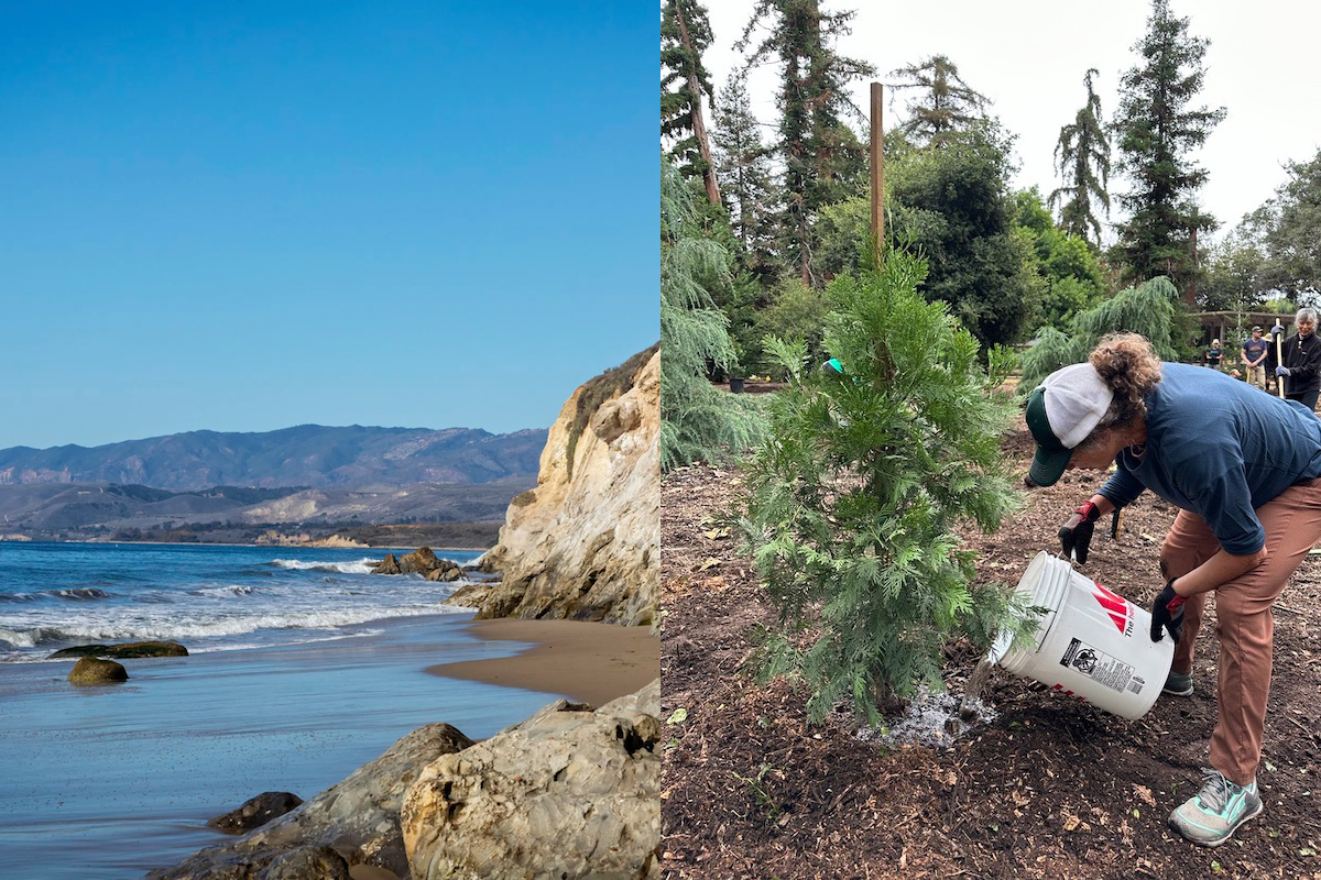 Goleta Certified as Santa Barbara County’s First ‘Blue City,’ Makes ...