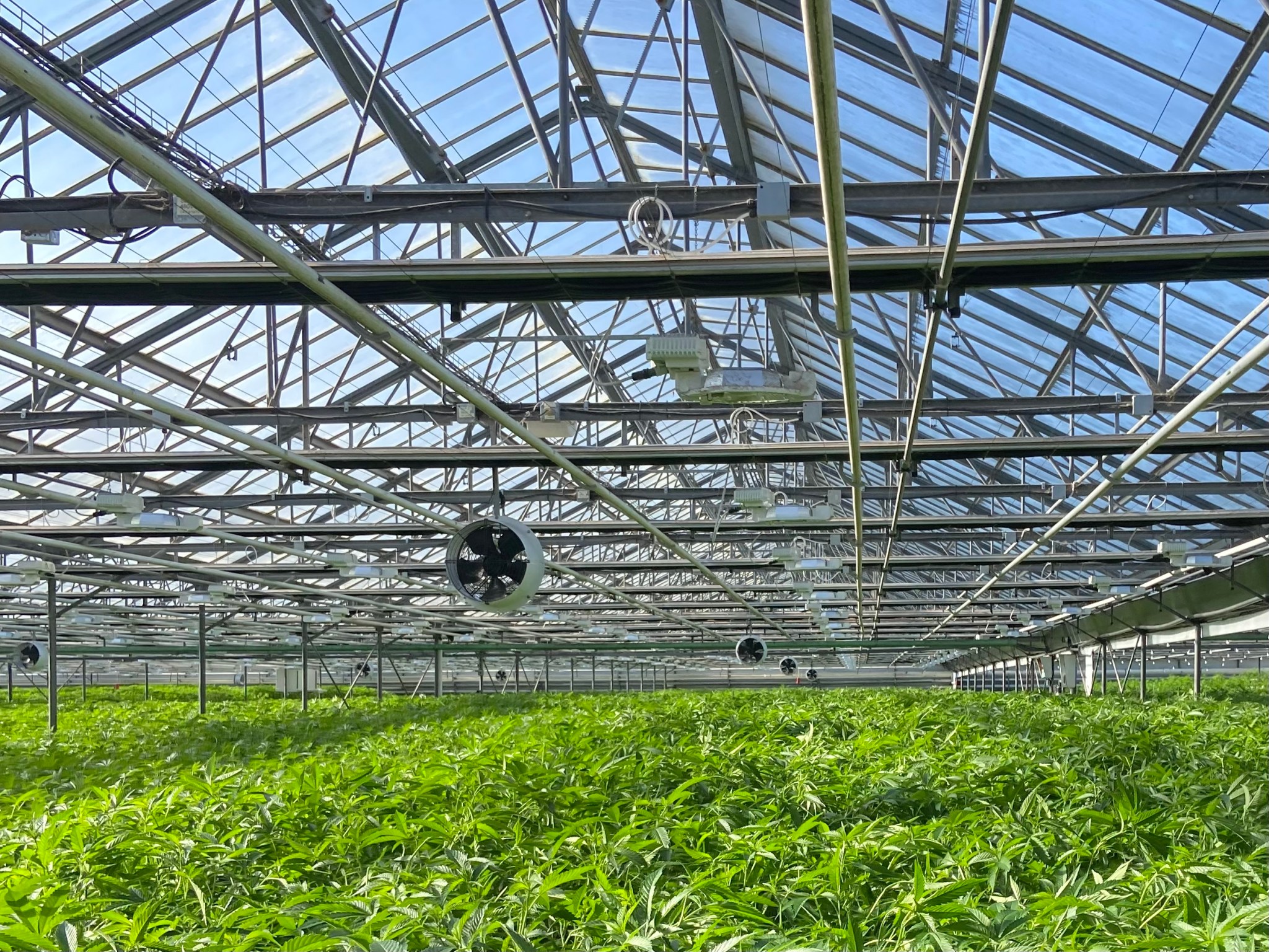 Cannabis in Carp Still Stinks - The Santa Barbara Independent