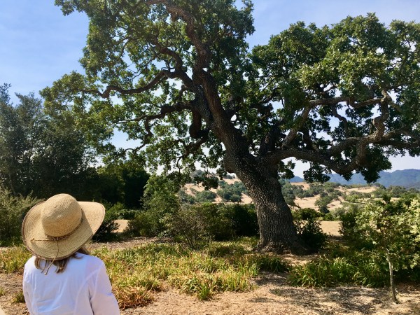 During a War - The Santa Barbara Independent