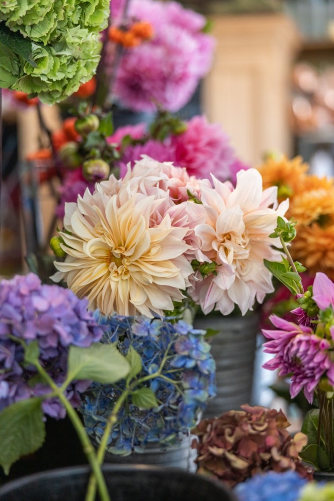 Best of Santa Barbara® 2023 Romance - The Santa Barbara Independent