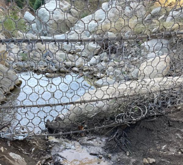 The Ring Nets in Montecito Canyons Are Coming Down - The Santa Barbara ...