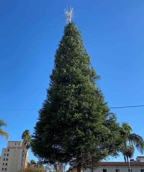 It’s Christmas Once Again in Santa Barbara - The Santa Barbara Independent