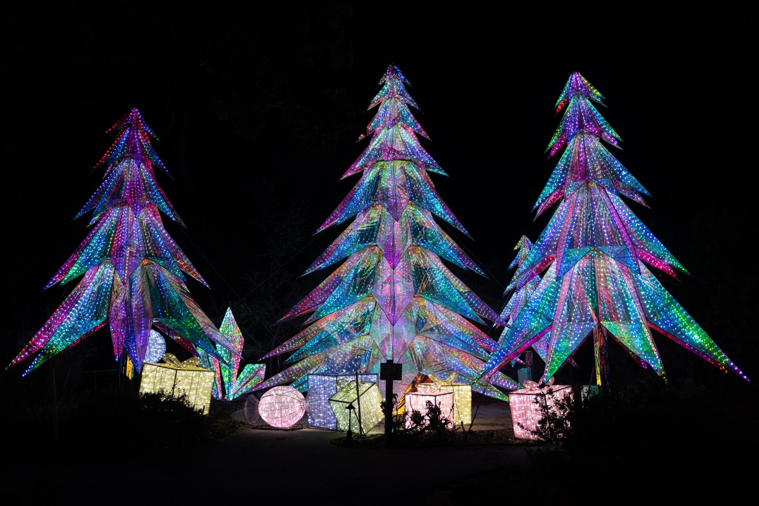 ZooLights Light Up the Night at Santa Barbara Zoo - The Santa Barbara ...