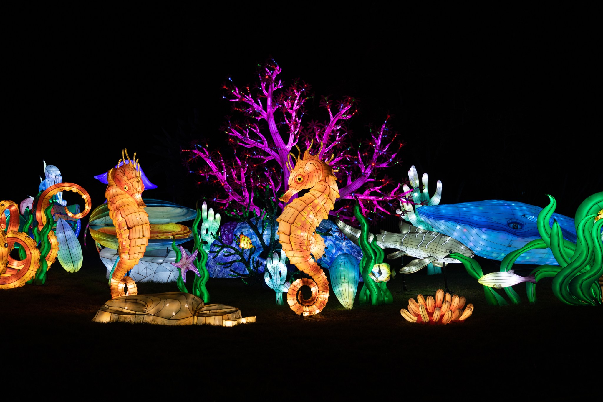 ZooLights Light Up the Night at Santa Barbara Zoo - The Santa Barbara ...