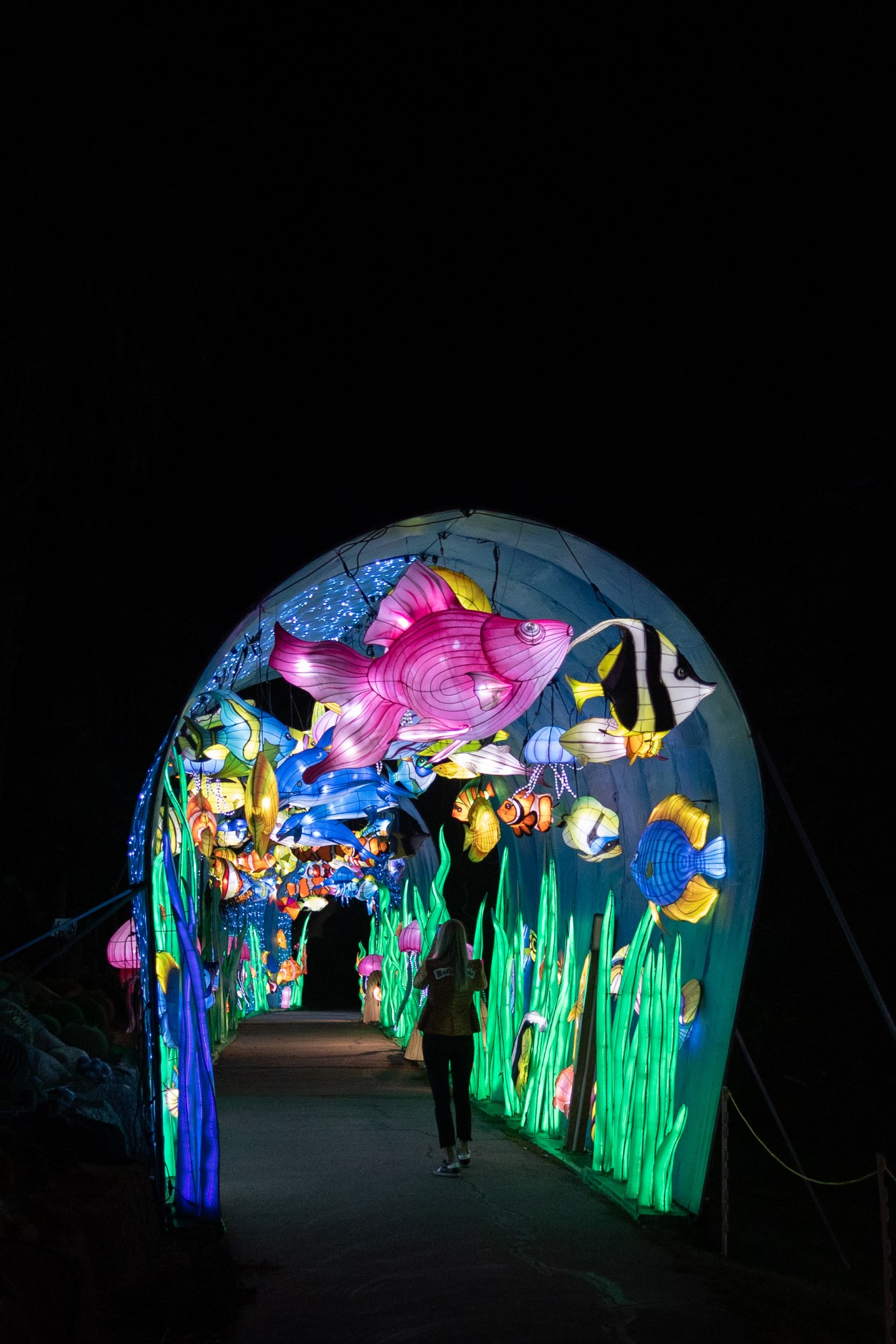 ZooLights Light Up the Night at Santa Barbara Zoo - The Santa Barbara ...