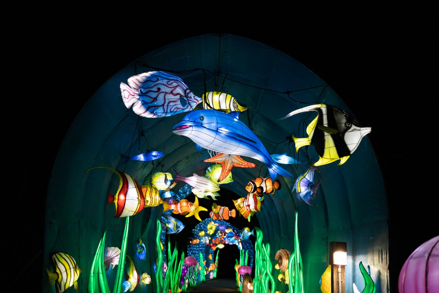 ZooLights Light Up the Night at Santa Barbara Zoo - The Santa Barbara ...
