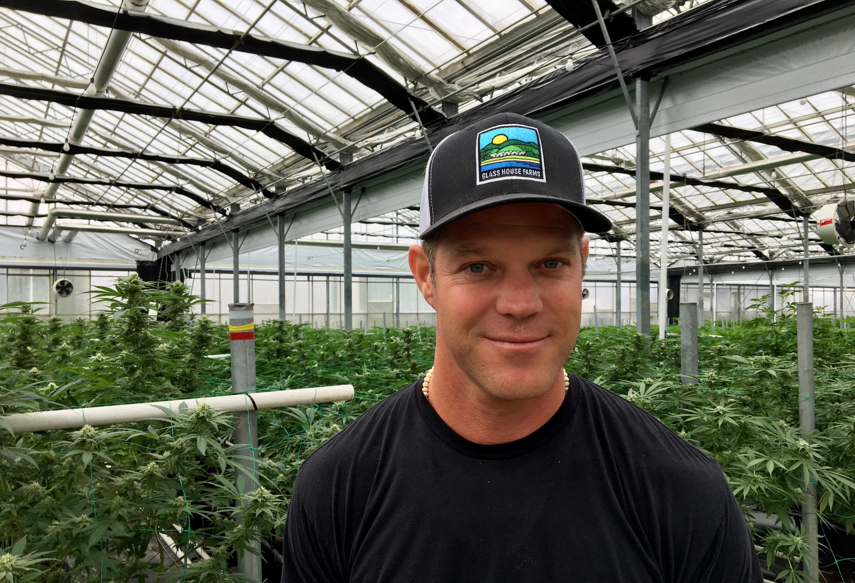 An Odor-Control Pact with Carpinteria Cannabis Growers Breaks Down ...