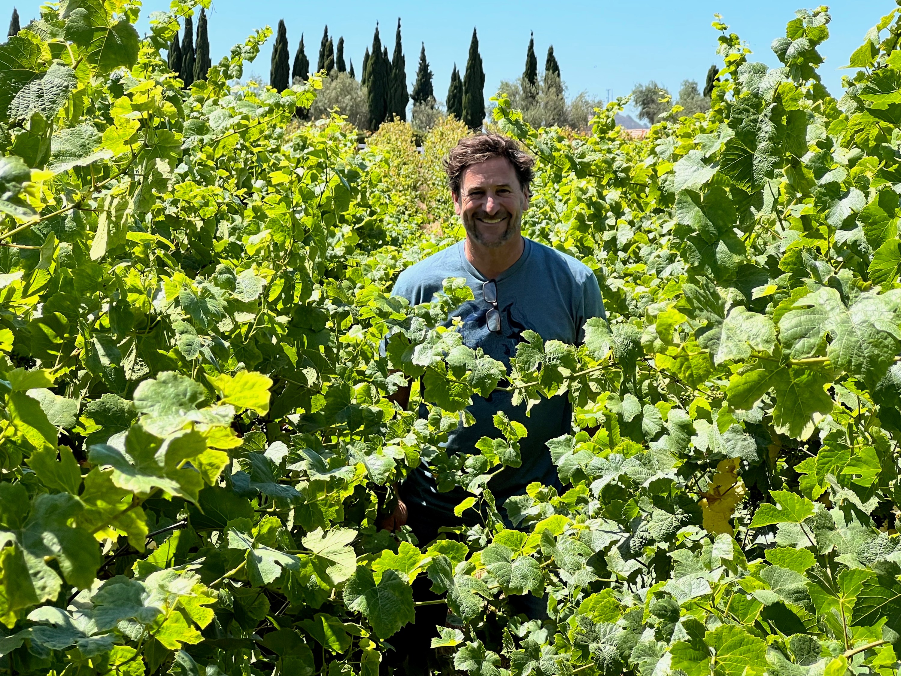 The Wild King Vineyard’s Natural Wisdom - The Santa Barbara Independent