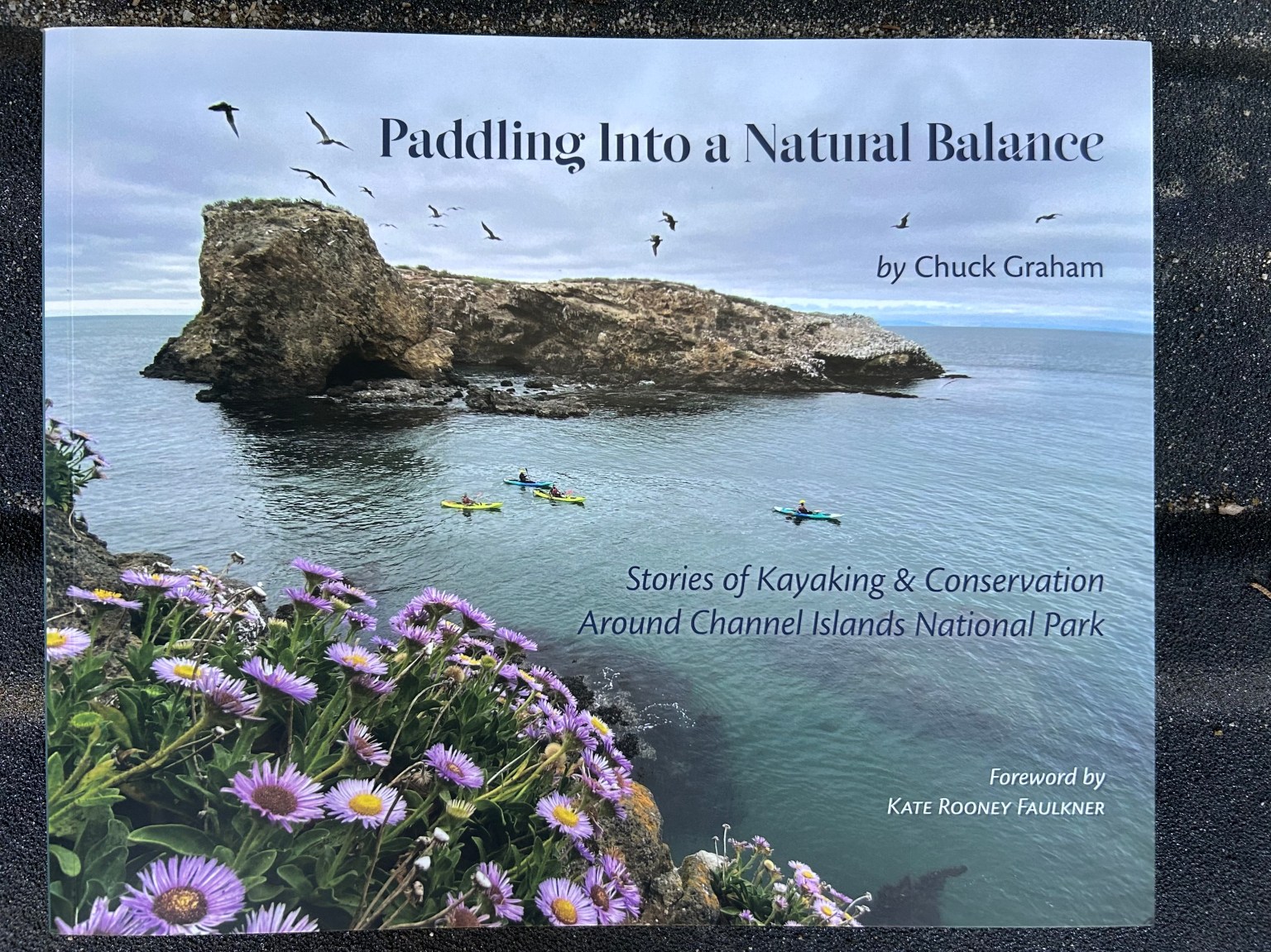 Chuck Graham’s Ode to the Channel Islands - The Santa Barbara Independent