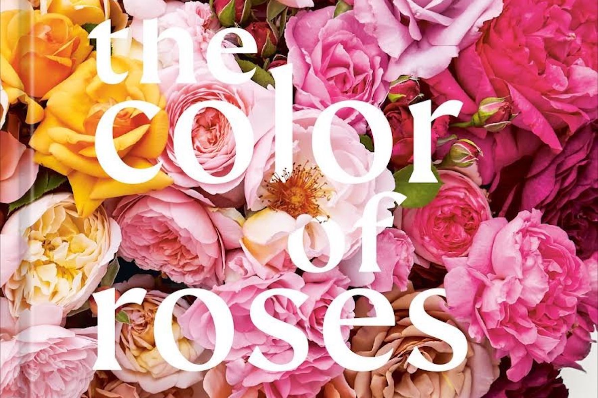 Medora’s Book Club Invites Readers to 'The Color of Roses' Event at ...