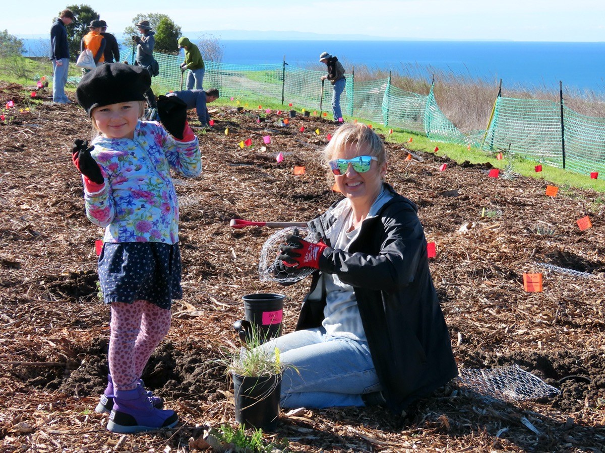 How to Transform Santa Barbara’s Landscapes - The Santa Barbara Independent