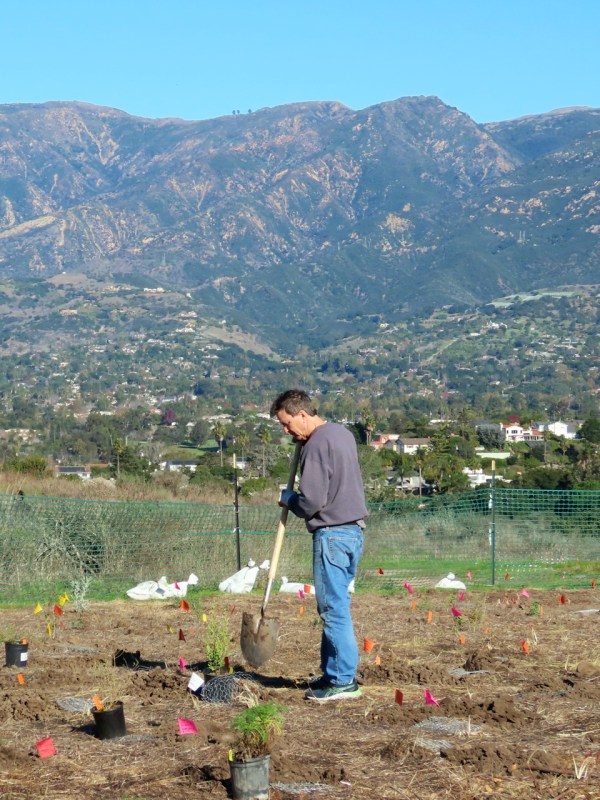 How to Transform Santa Barbara’s Landscapes - The Santa Barbara Independent