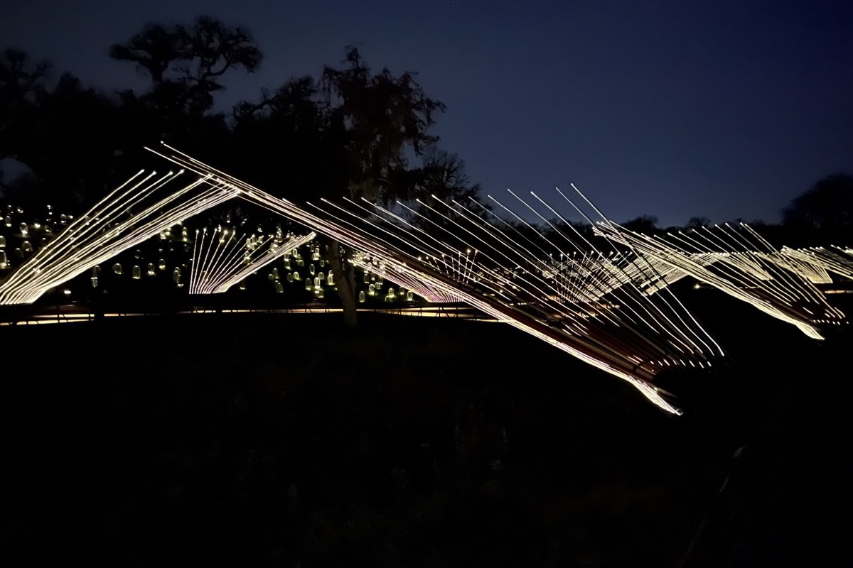 Exploring Paso Robles - The Santa Barbara Independent