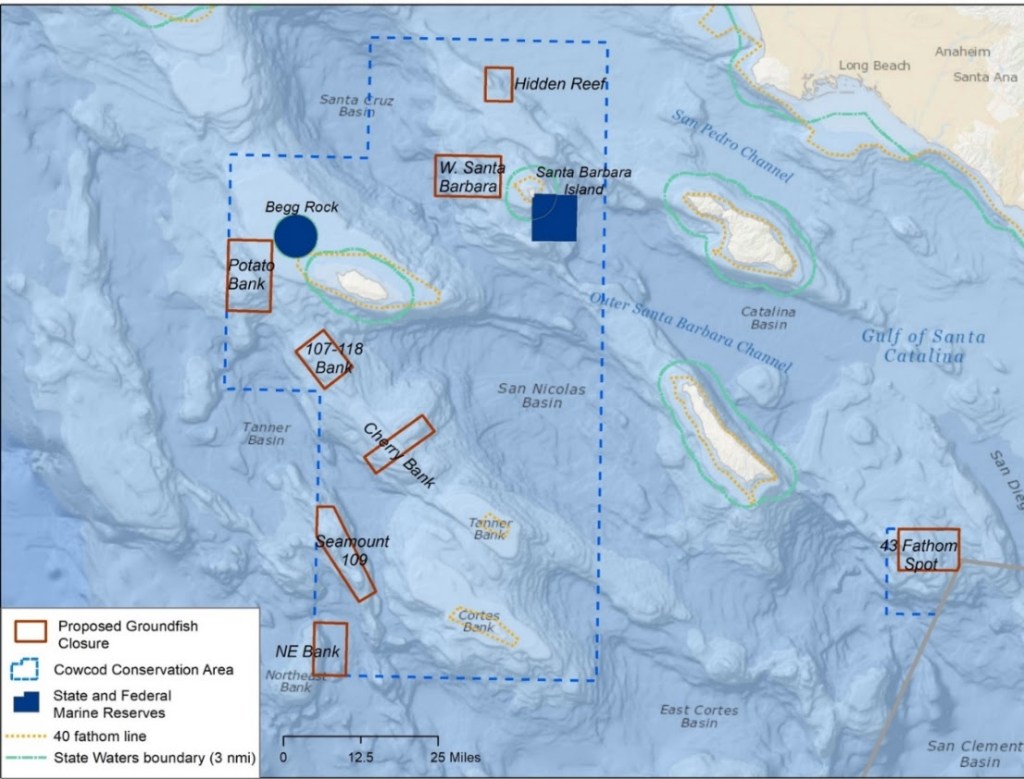 A ‘Win-Win’: Southern California Conservationists and Fishermen Reach ...