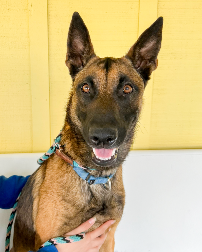 Terry, Darwin, Joe B. & Scott - The Santa Barbara Independent