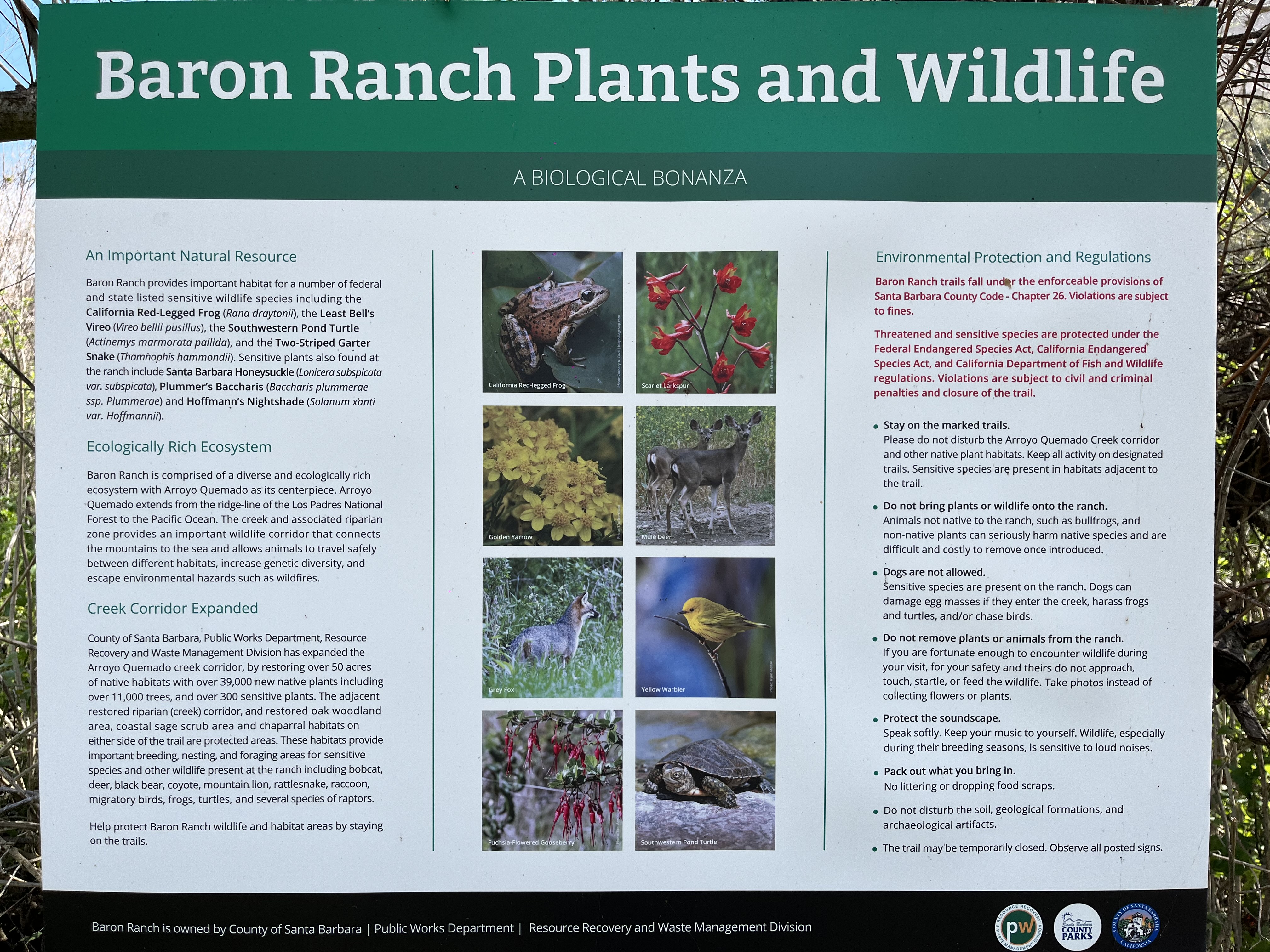 Arroyo Quemado Trail Opens Up at Baron Ranch Near Gaviota - The Santa ...