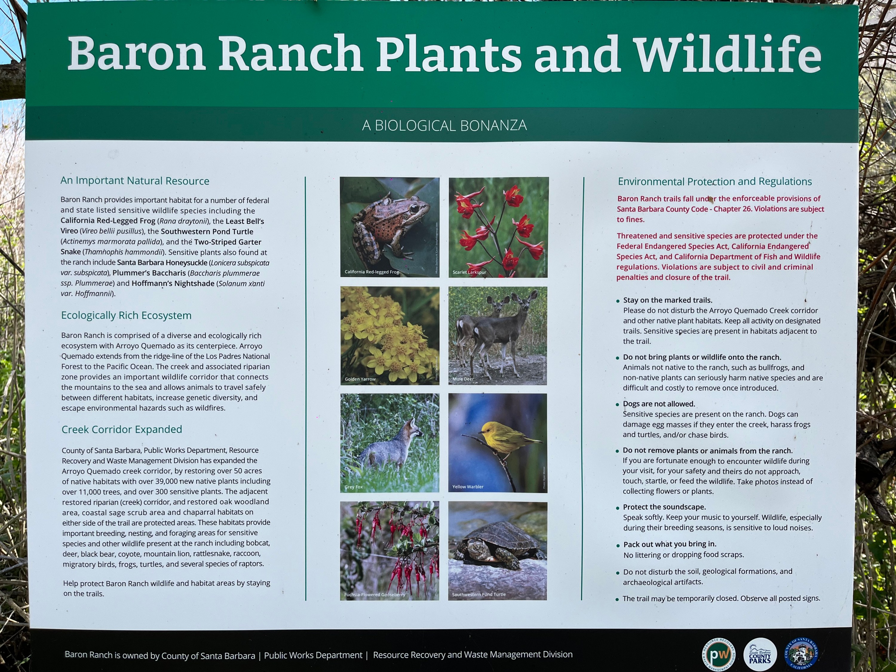 Arroyo Quemado Trail Opens Up at Baron Ranch Near Gaviota - The Santa ...