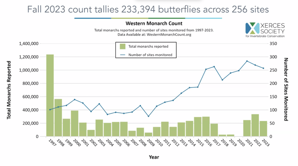 Western Monarch Count Sees Drop in California’s Butterfly Population ...