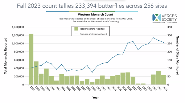 Western Monarch Count Sees Drop in California’s Butterfly Population ...