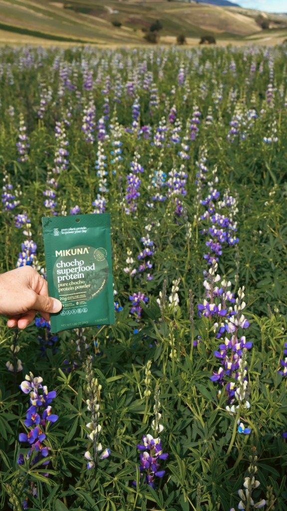 Chocho for the People | Nourishing the Body and Revitalizing the Soil ...
