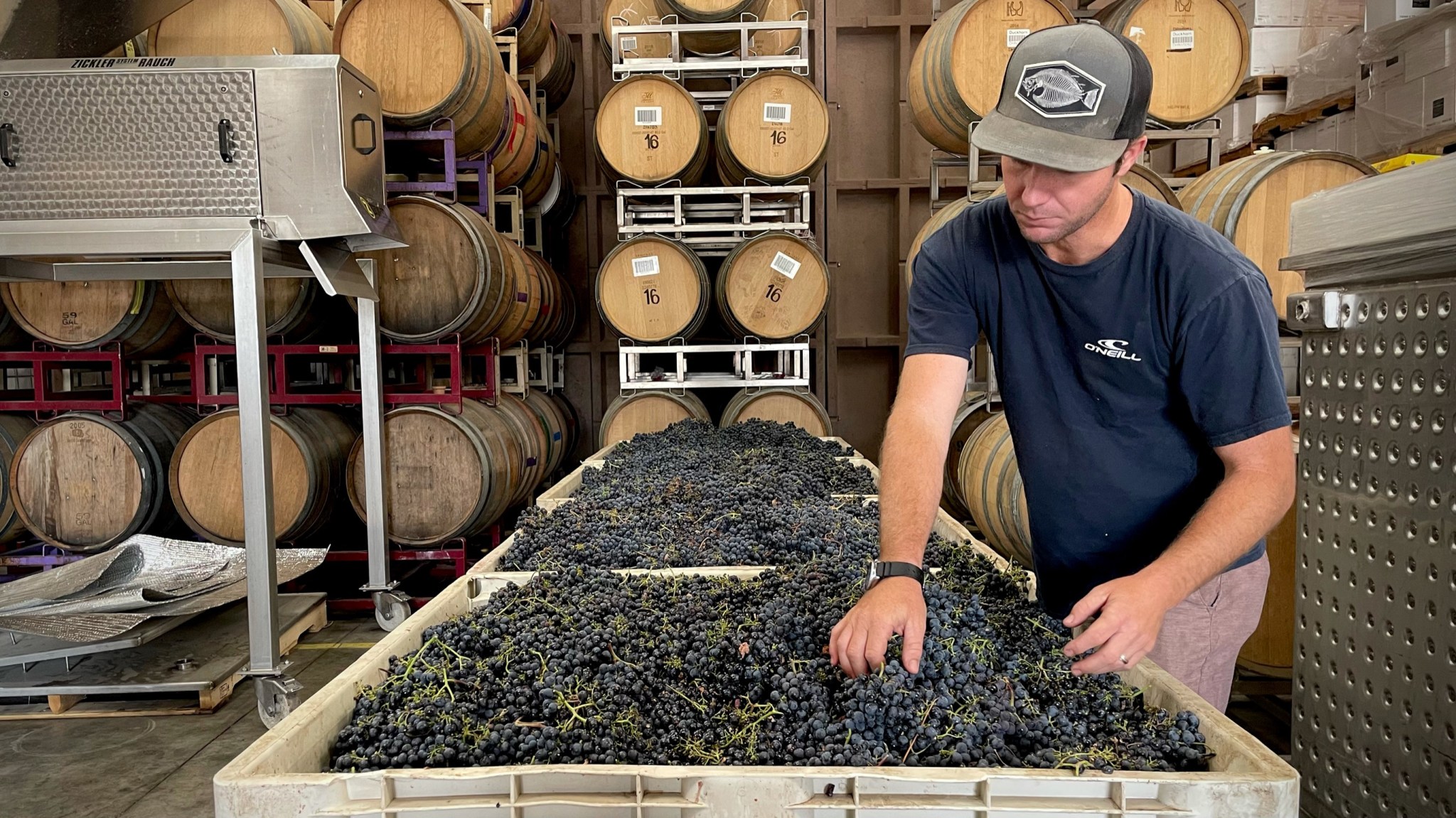 How the Ocean Influences MarBeso Wine - The Santa Barbara Independent