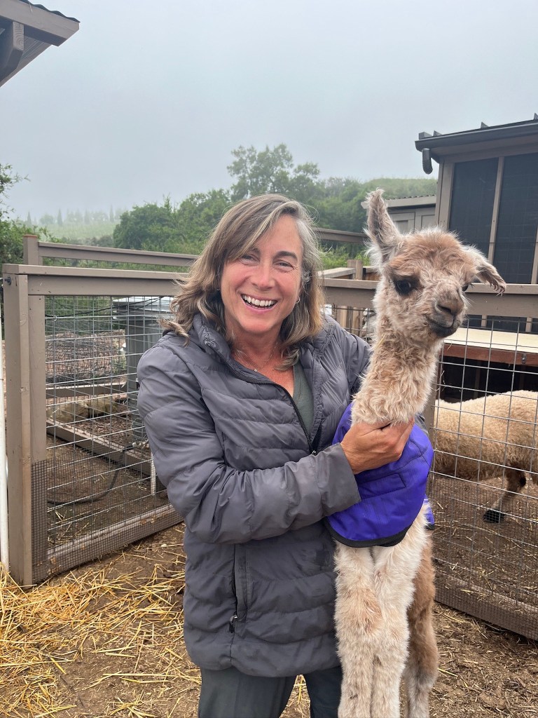 Farm Tour Gold at Wanderment Farms - The Santa Barbara Independent