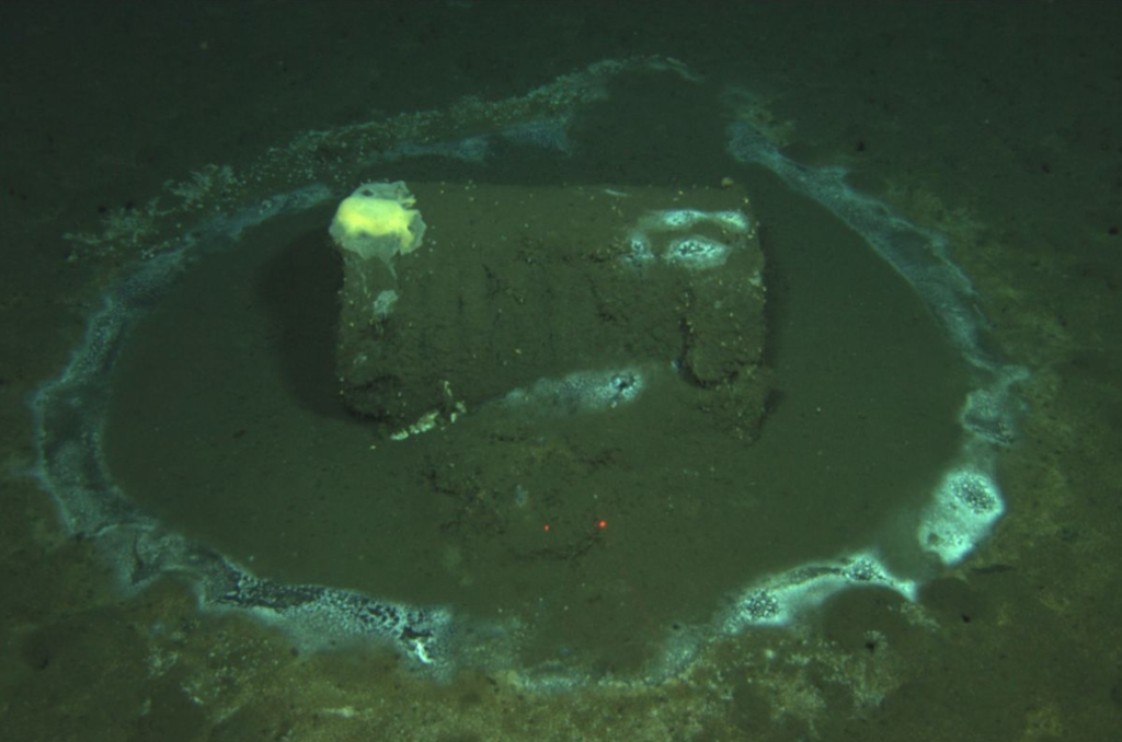 Discoveries from Disasters: A Conversation with Oceanographer David ...