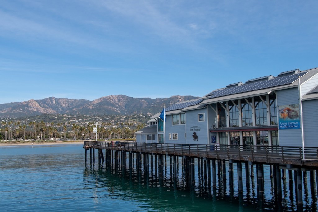 Sea Center on Stearns Wharf Celebrates World Oceans Day - The Santa ...