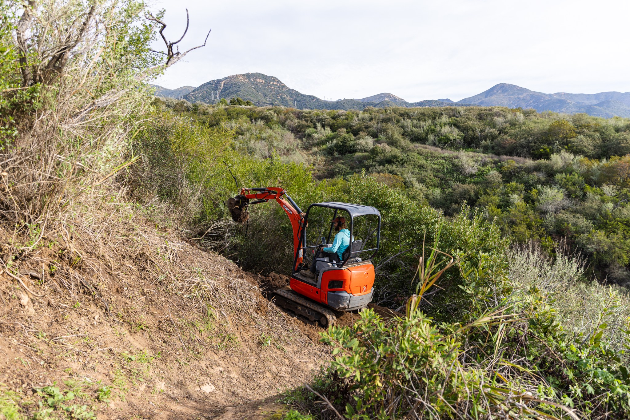 Santa Barbara’s Parma Park Project Completed - The Santa Barbara ...